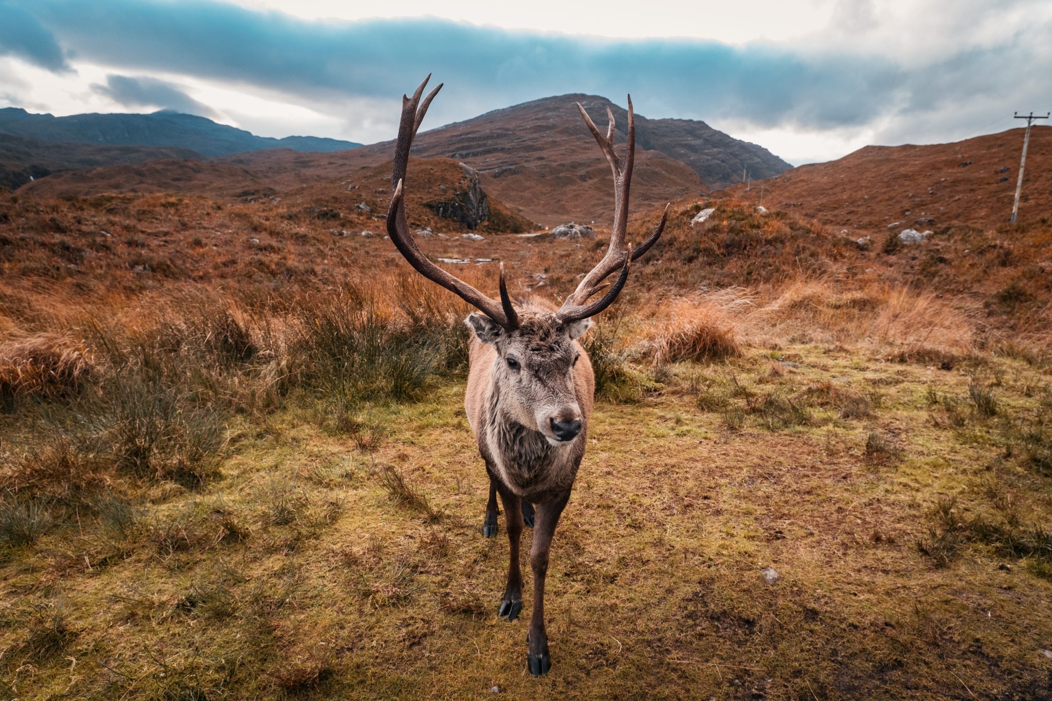 NC500 ANTI-CLOCKWISE Archives - Robbie Roams - No Fuss Travel Videos ...